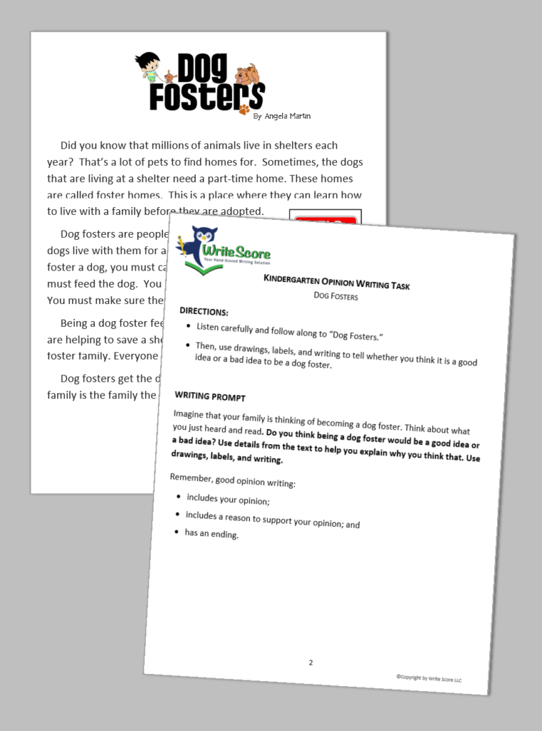 Florida Standards Writing - Write Score